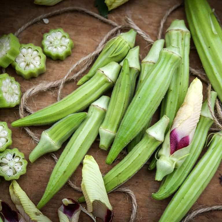 Oosi Okra – Krishna Seeds & Natural Foods